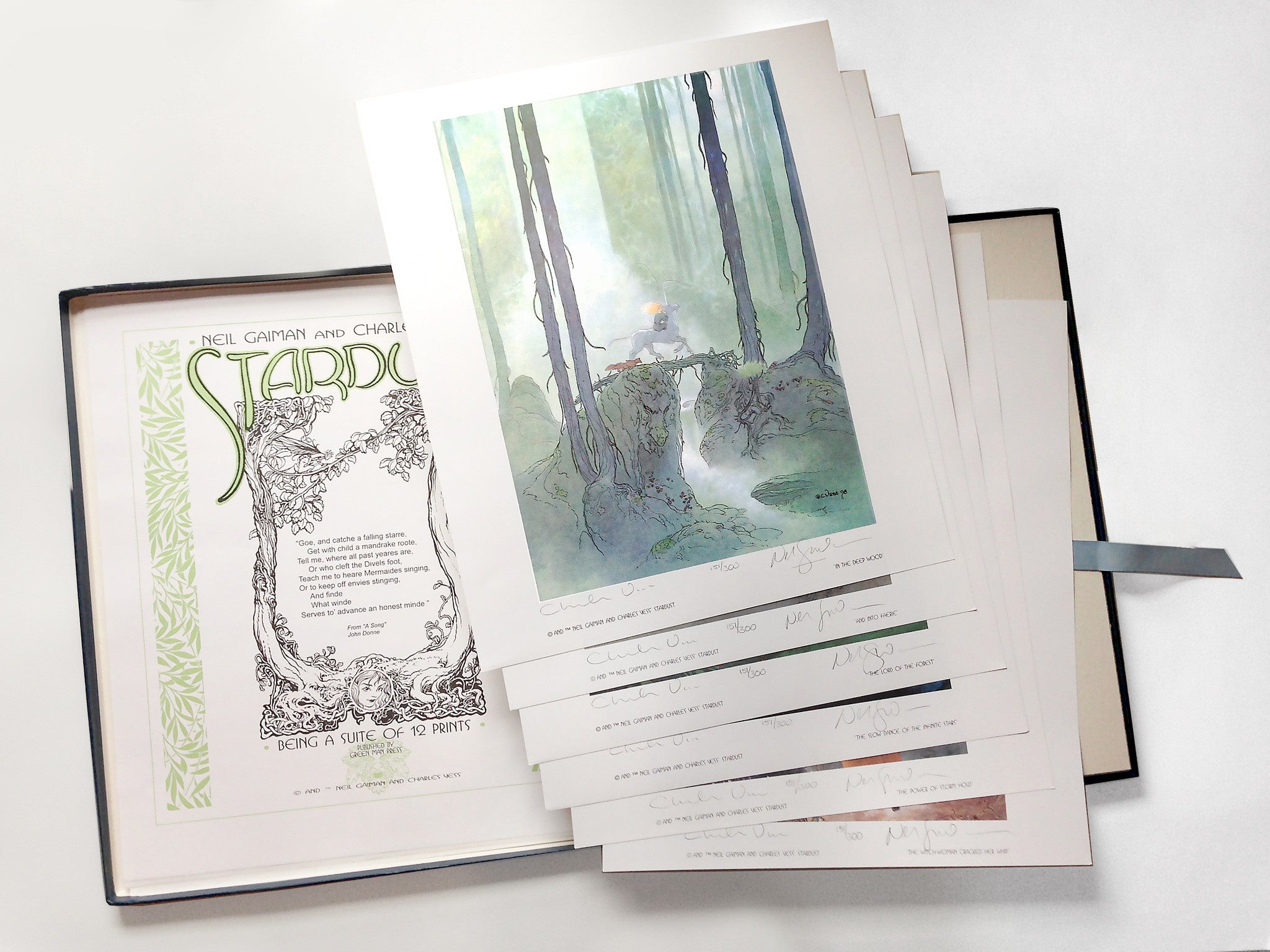 The Power of Stormhold - Signed Art Print